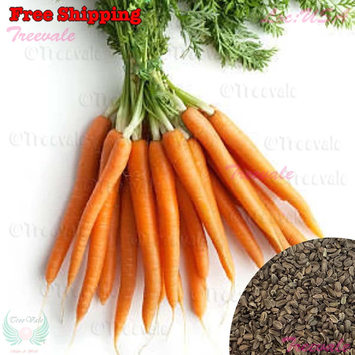 Little Fingers Carrot - Daucus Carota SEEDS | Vegetable Seeds ...