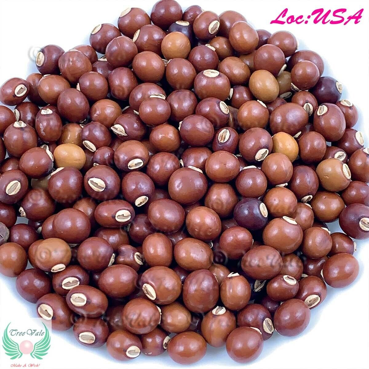 Winged Bean Seeds, ĐẬU RỒNG, Dara Dham Bala Manila Goa, Dragon Bean ...