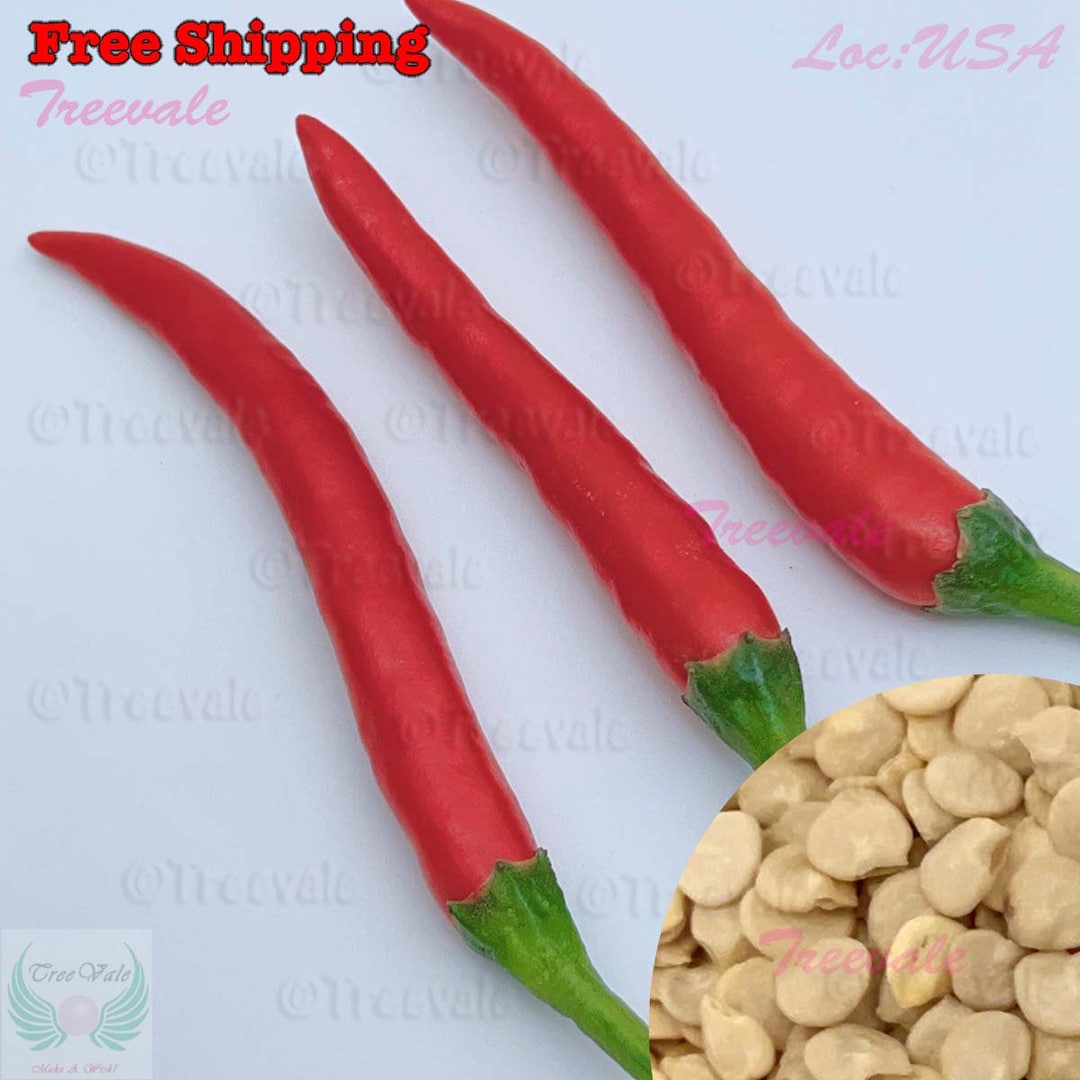Thai Red Chili Seeds| Hot Chili Pepper, Burapa, Ớt Hiểm Cay SEEDS | NON ...