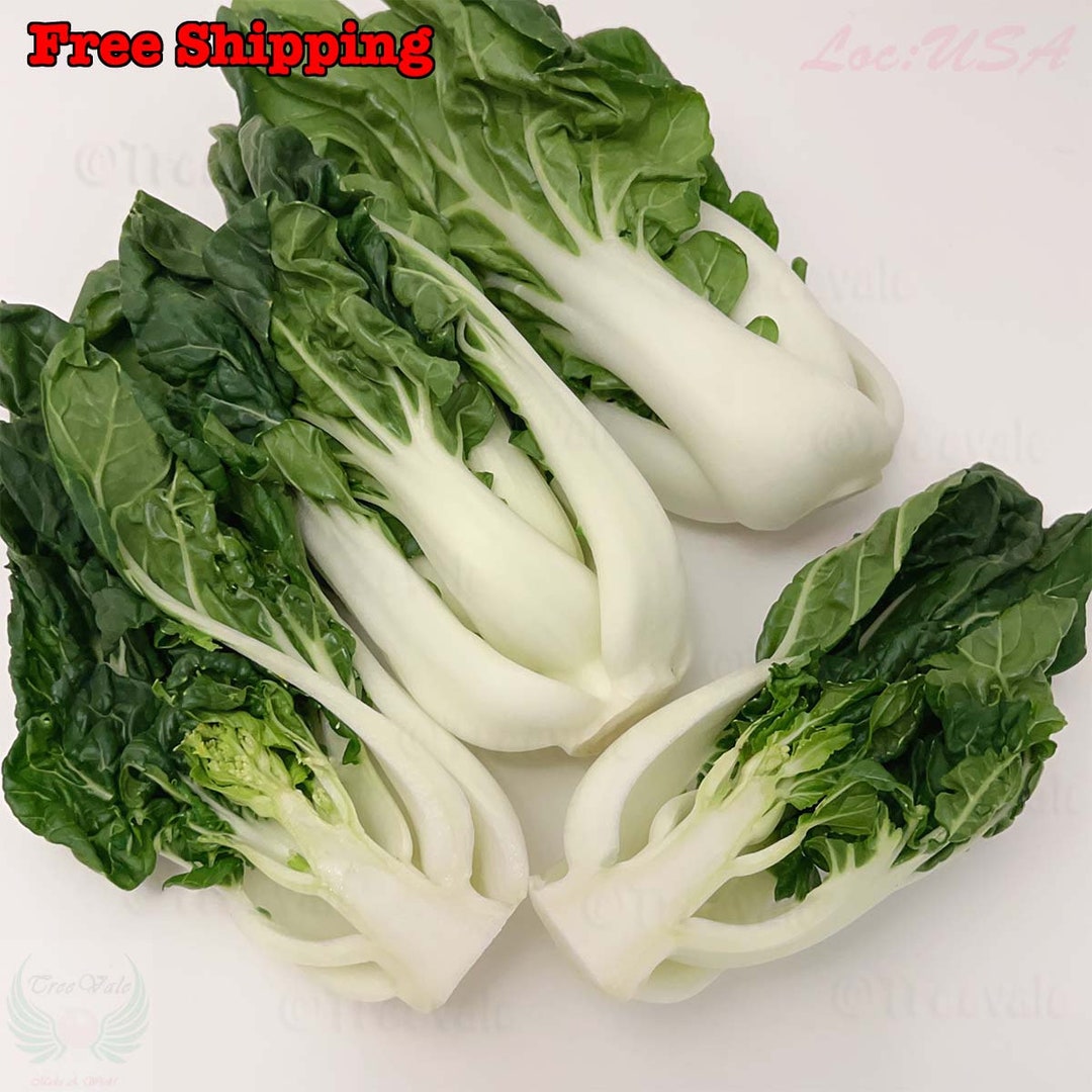 Pak Choi Cabbage Seeds White Stem | Baby Bok Choy, White Chinese ...