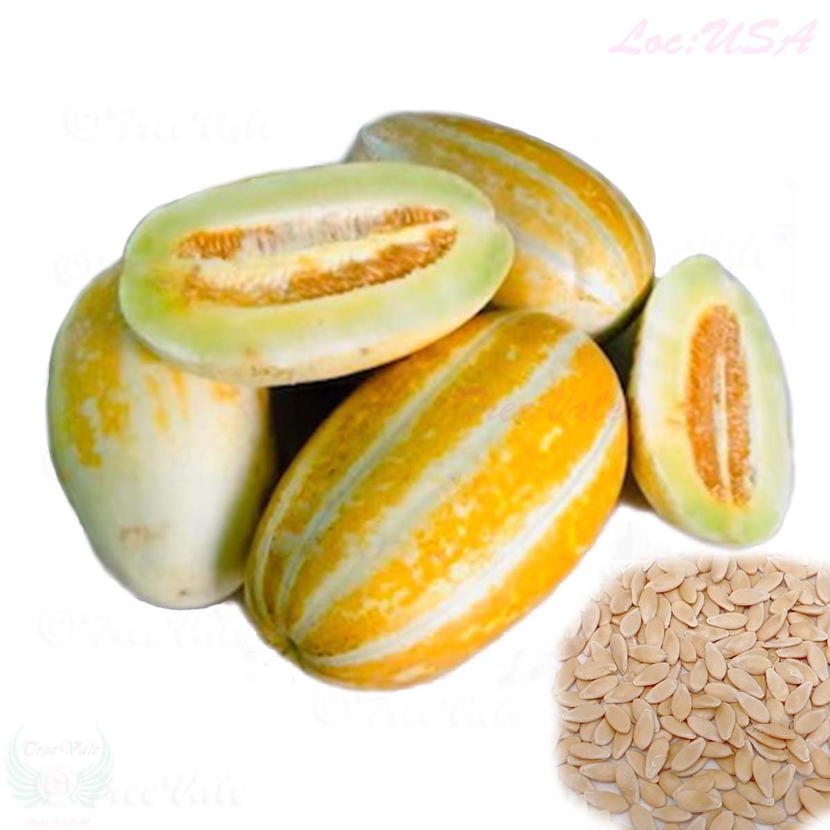 Fragrant Musk Melon Seeds | Dua Gang, Thai Long Muskmelon, Thai Melon ...