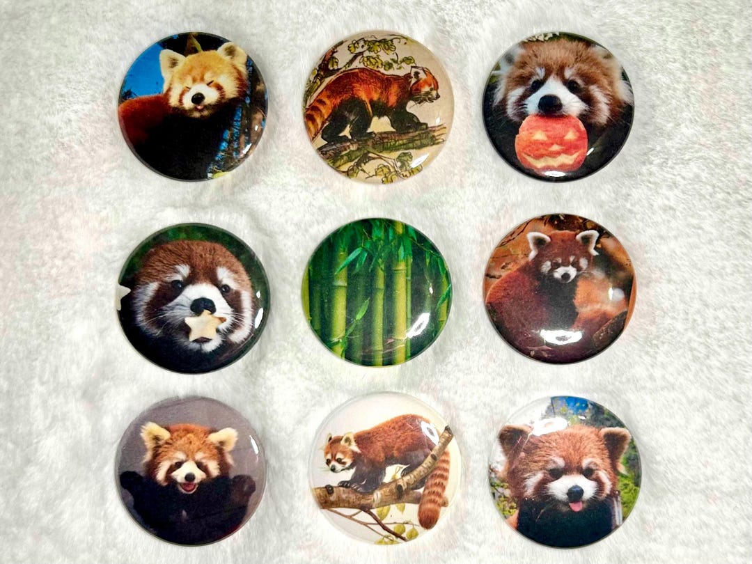 Red Panda Animal 1.5" Pinback Buttons - Etsy