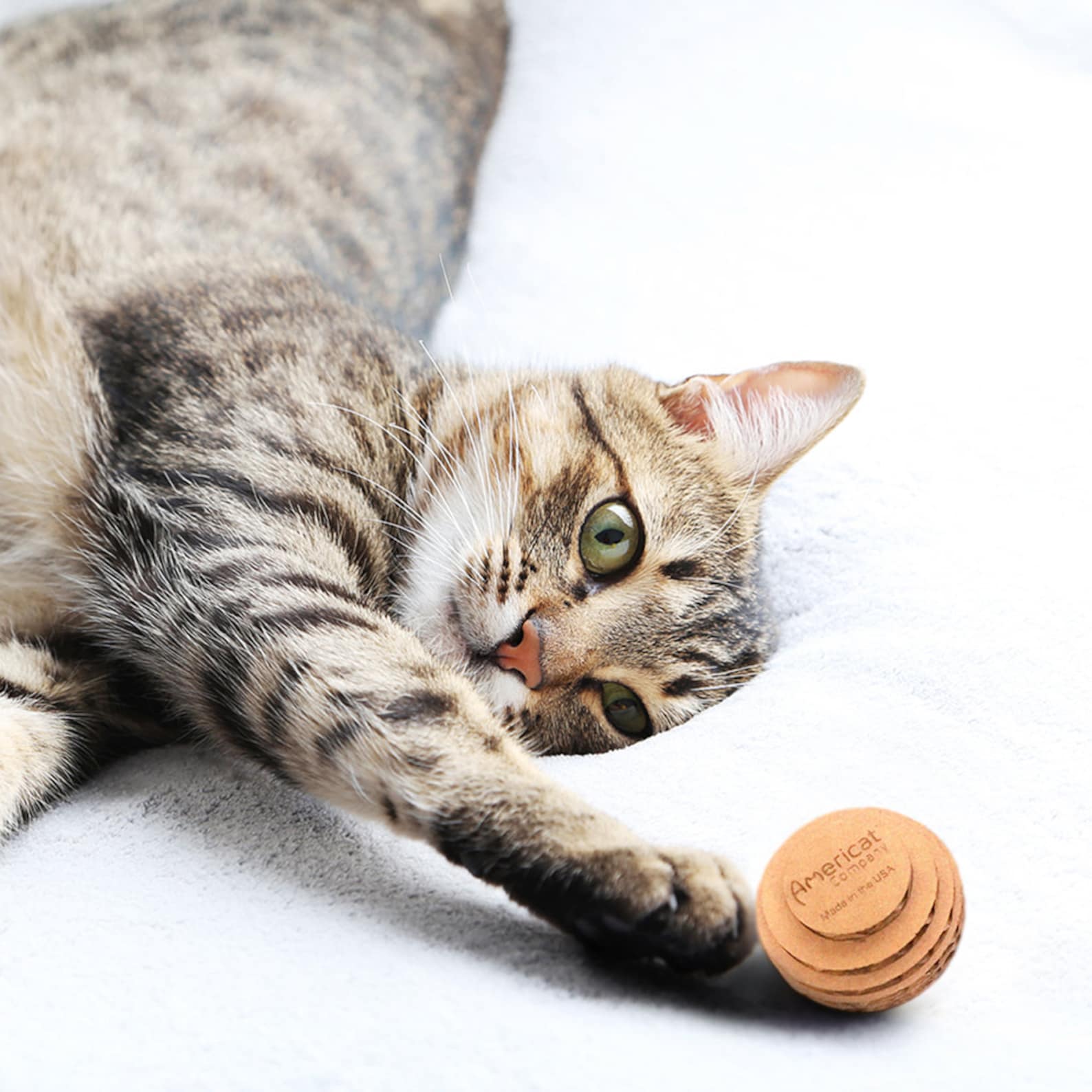 Cat Toys - Made in USA - Set of 3 Cardboard Cat Toys - Round Balls for ...