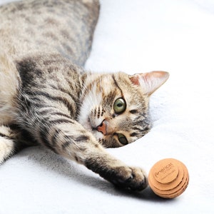 Cat Toys - Made in USA - Set of 3 Cardboard Cat Toys - Round Balls for ...