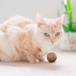 Cat Toys - Made in USA - Set of 3 Cardboard Cat Toys - Round Balls for ...