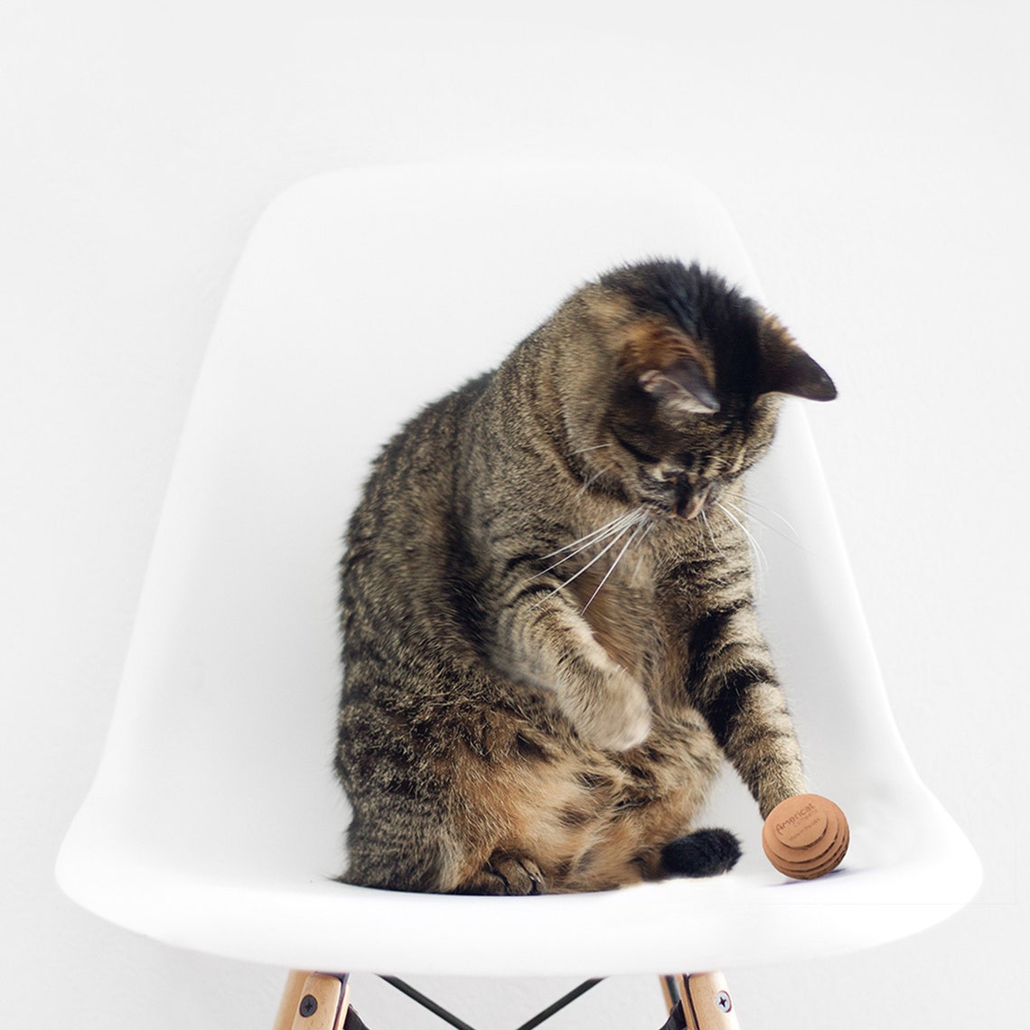 Cat Toys Made in USA Set of 3 Cardboard Cat Toys Round - Etsy