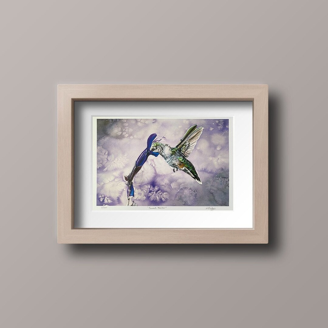 Hummingbird A4 Signed Print, From My Original Watercolour Painting. - Etsy