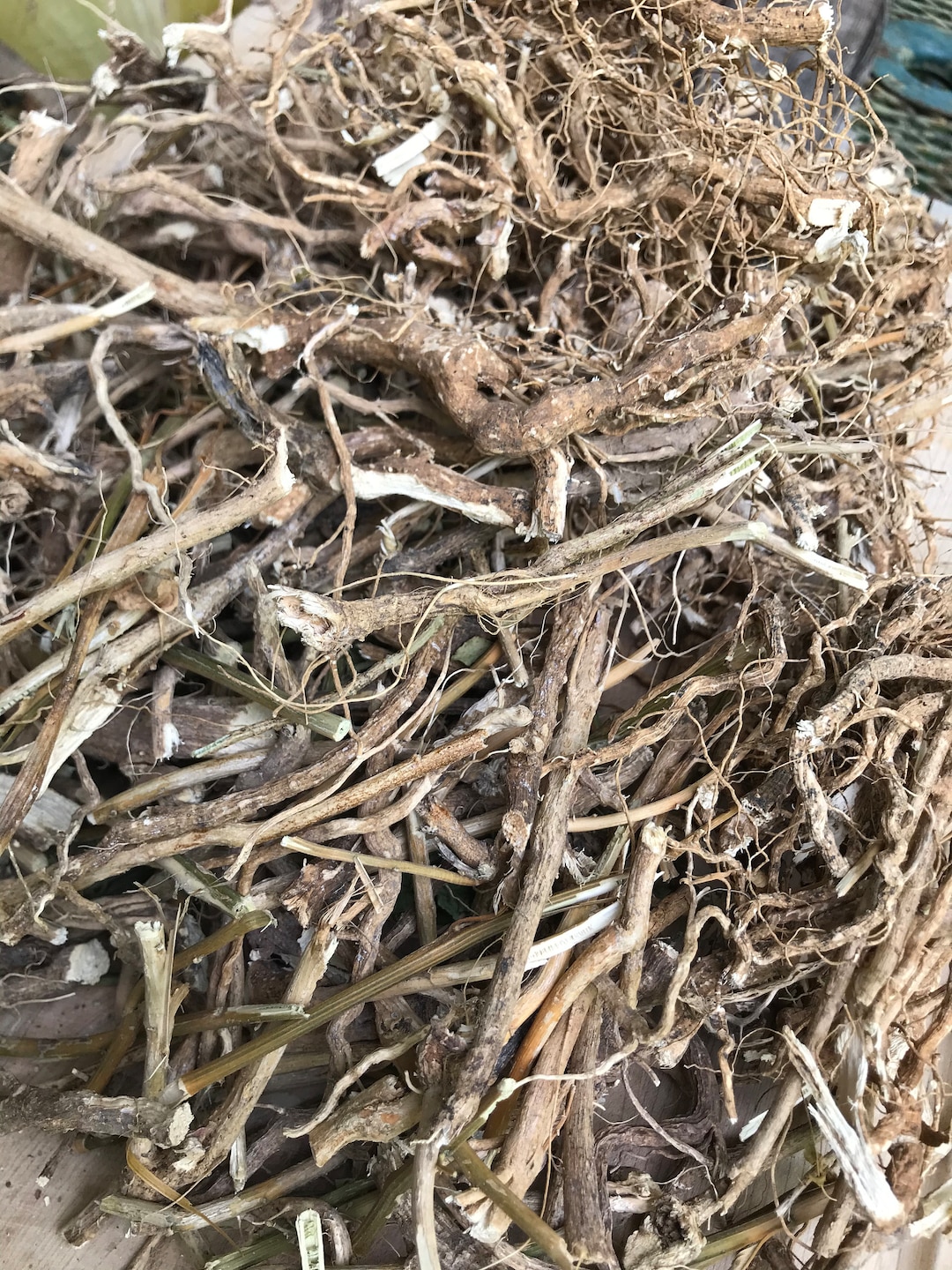 Guinea Hen Weed Root Dried Roots and Branches, Petiveria Alliacea ...