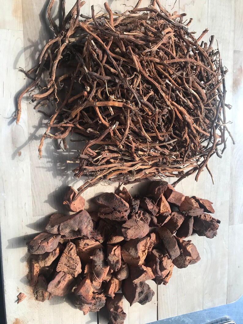 Jamaican Wildcrafted Sarsaparilla Root. Harvested in the Hills of ...