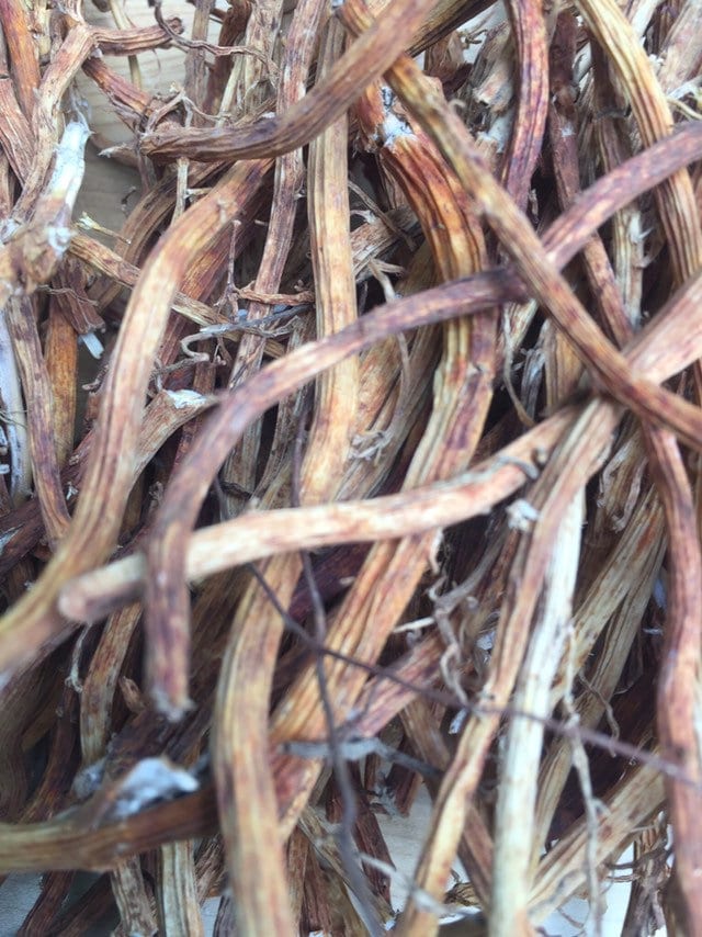 Raíz de zarzaparrilla Smilax Hemidesmus indicus jamaicano | Etsy