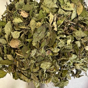 Blue Vervain Leaves Wildcrafted Florida Grown Dried Leaves - Etsy