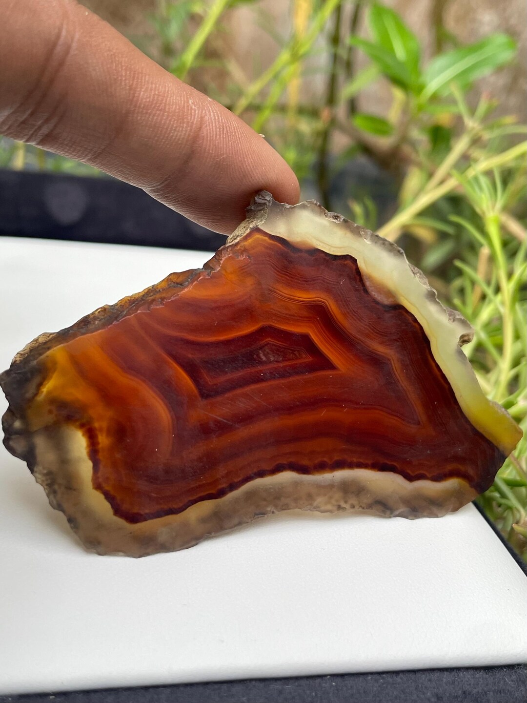 Red Banded Agate Slice, Polished Crystal Specimen, Jewelry Making - Etsy