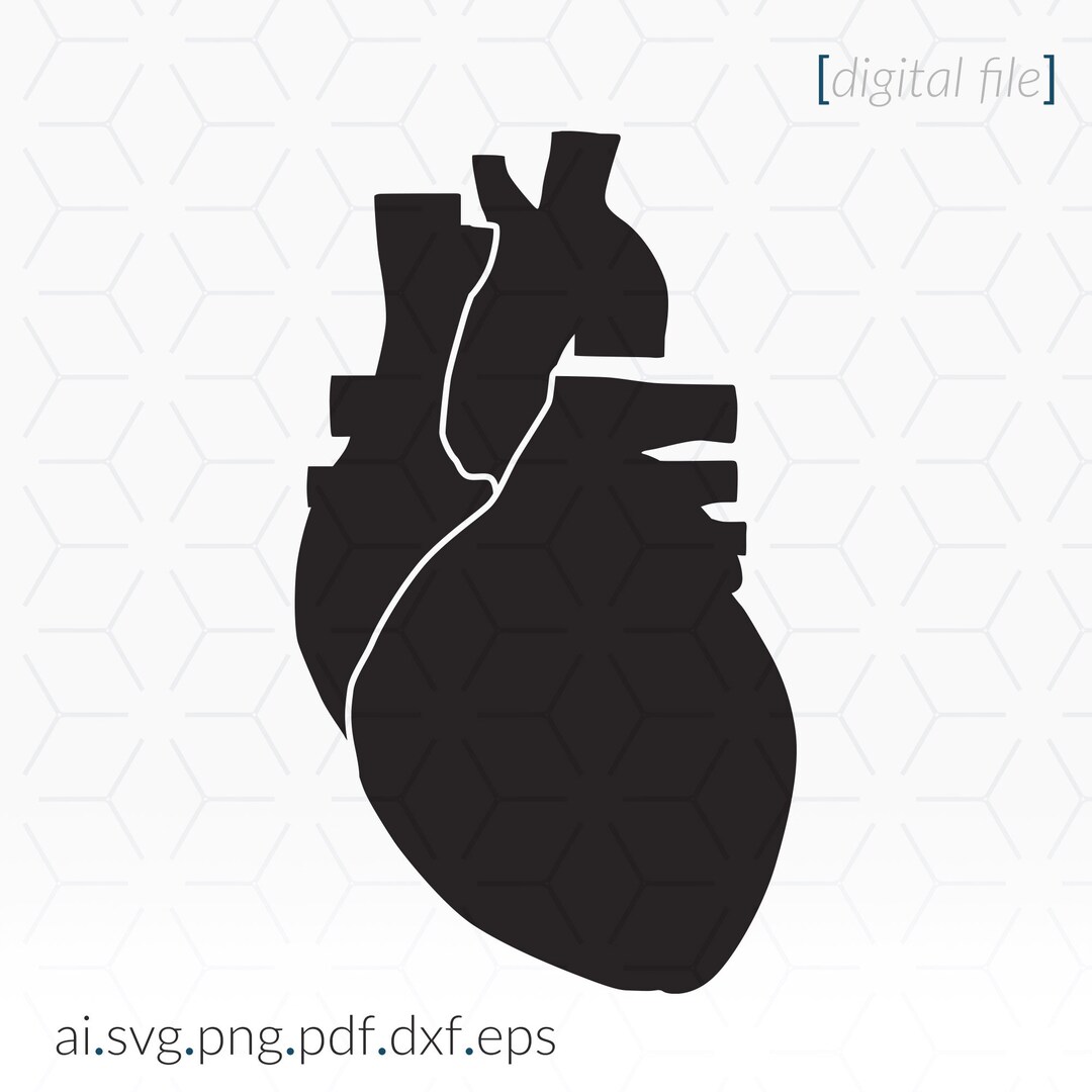 Heart Stencil SVG for Cutting and Printing Projects, Anatomy Stencil - Etsy