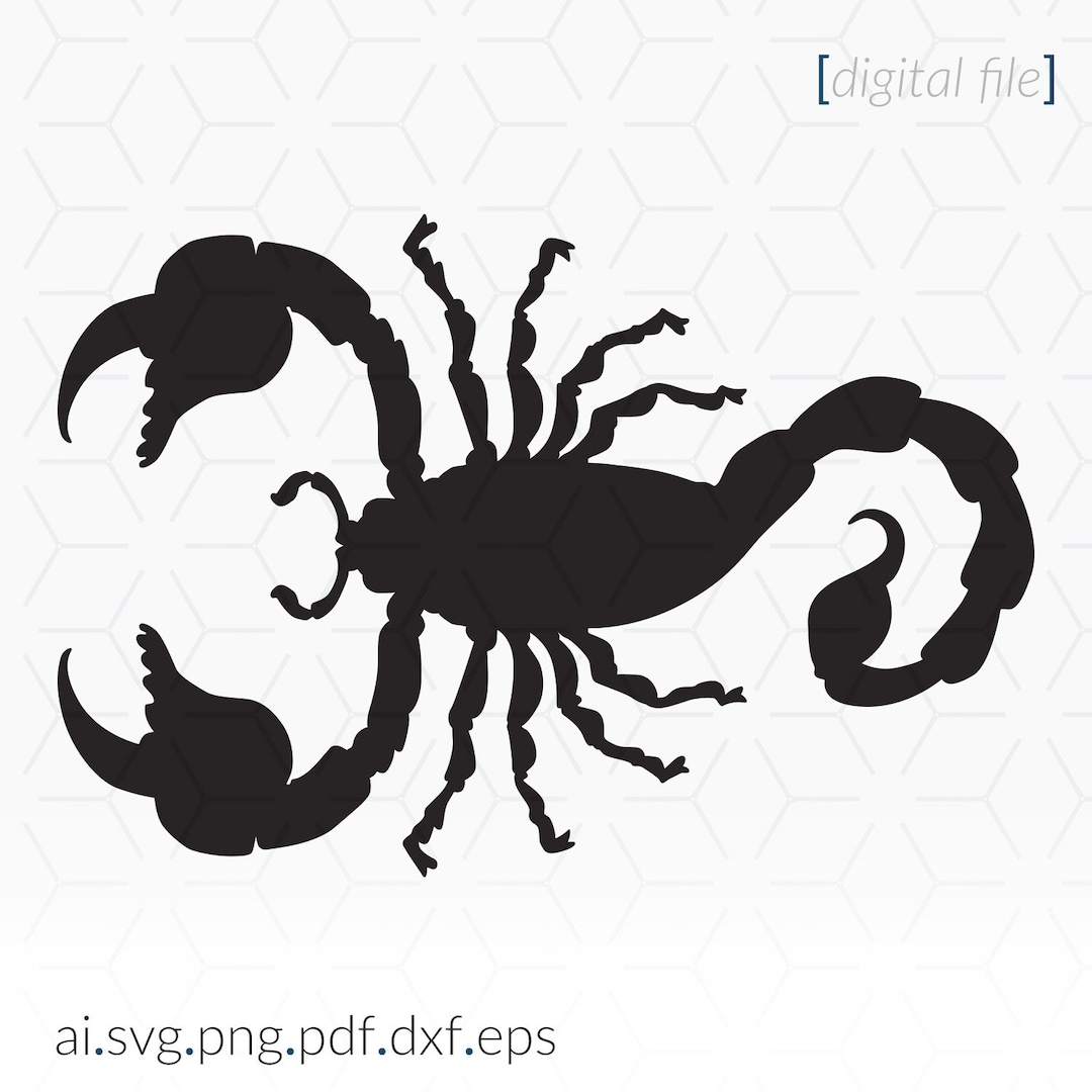 Scorpion SVG, Scorpion SVG, Scorpion Clip Art, Cricut SVG File, Cricut ...