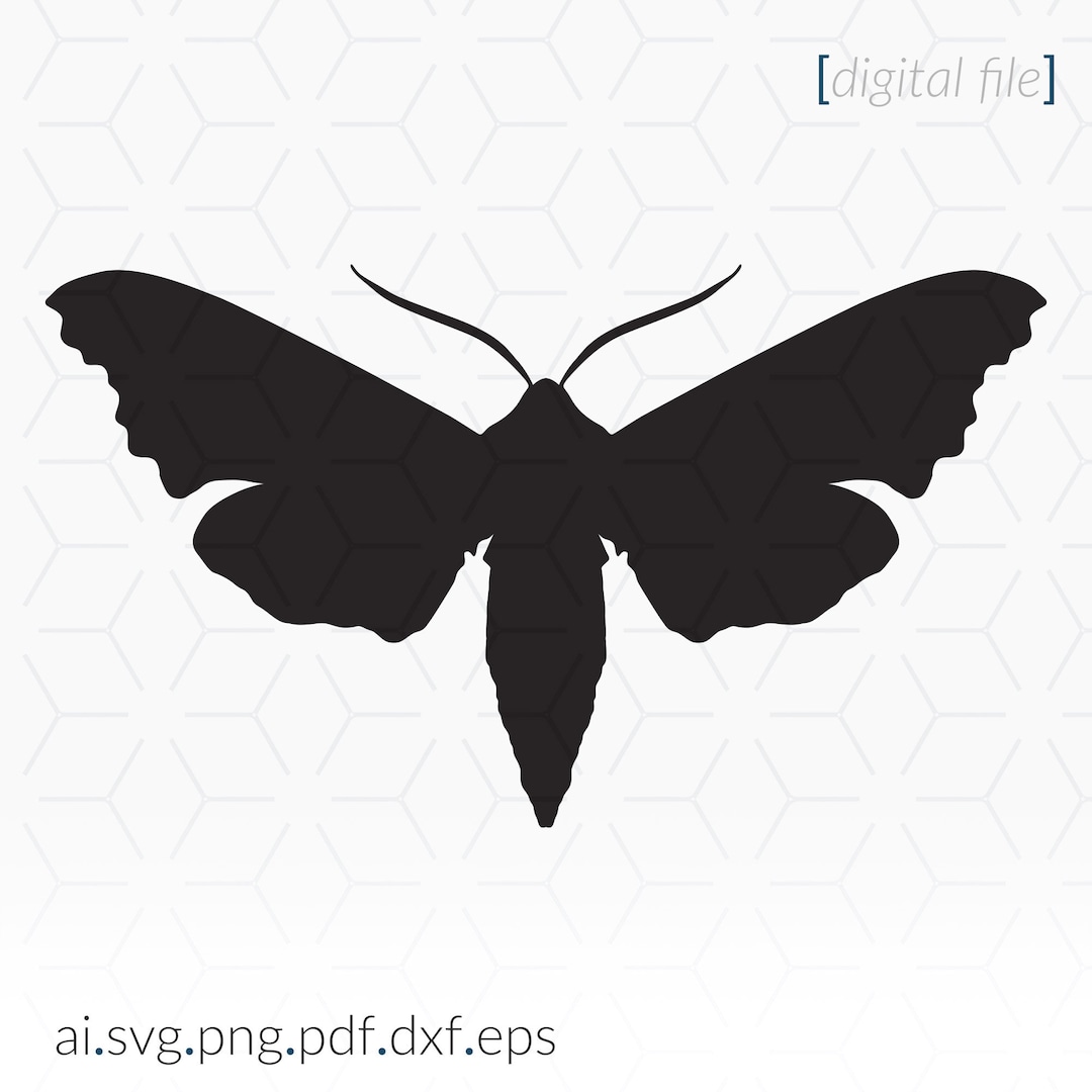 Moth SVG for Cutting and Printing, Moth SVG Stencil, Moth Clip Art ...
