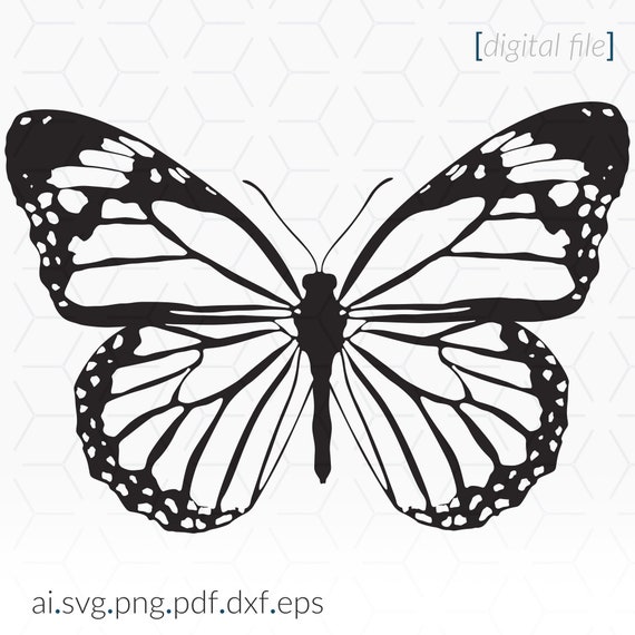 Insect Svg Monarch Butterfly Svg Butterfly Clipart Butterfly Cricut