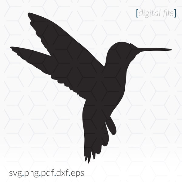 Humming Bird Svg - Etsy