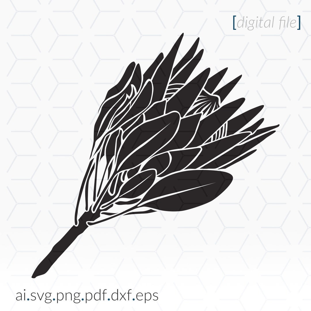 Protea Flower SVG Stencil: Cricut Cut File, Clip Art (digital Download ...