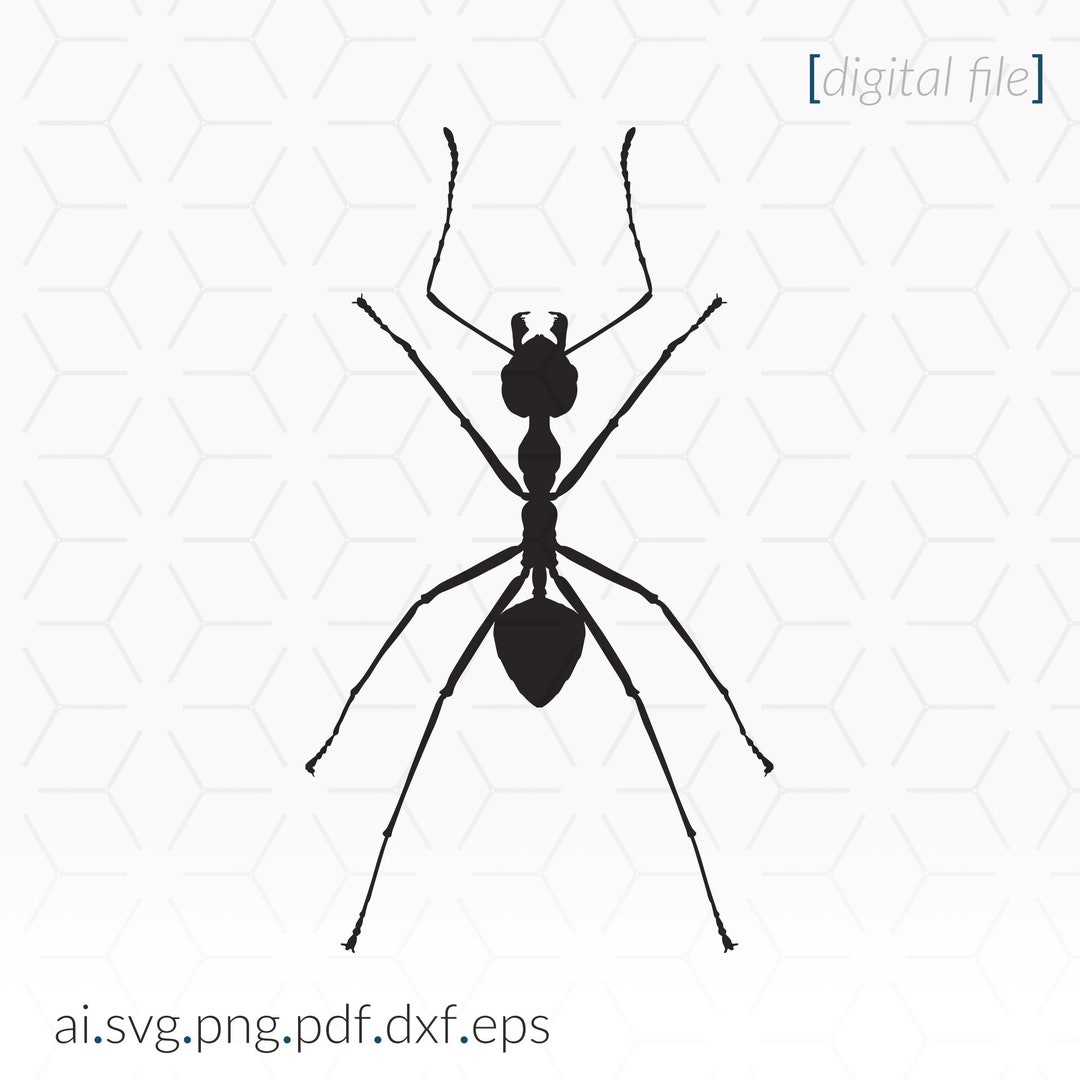 Ant SVG for Cutting and Printing, Ant SVG Stencil, Ant Clip Art, Cricut ...