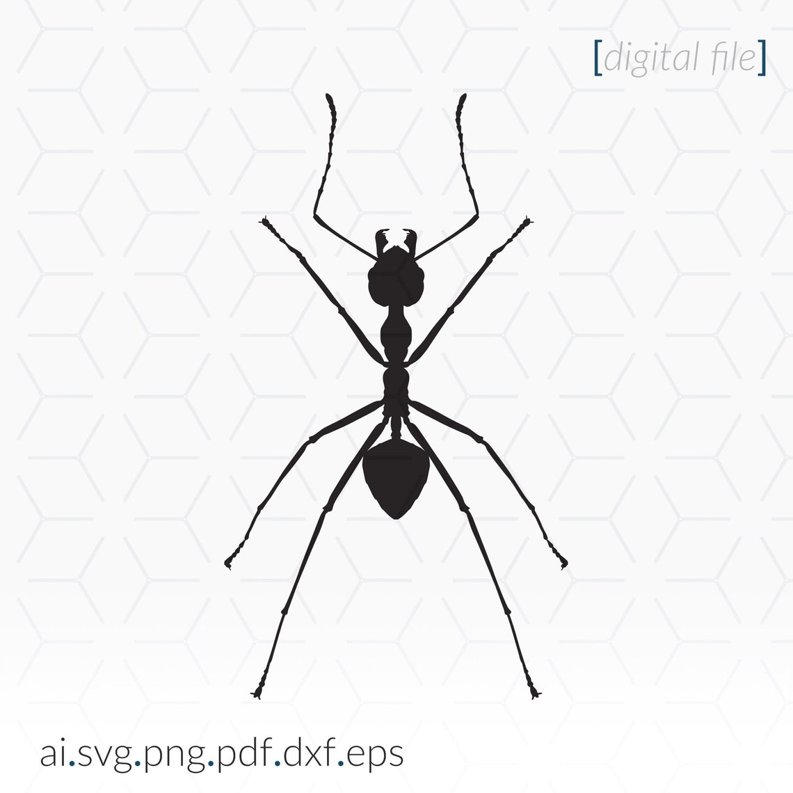 Ant SVG for Cutting and Printing Ant SVG Stencil Ant Clip - Etsy