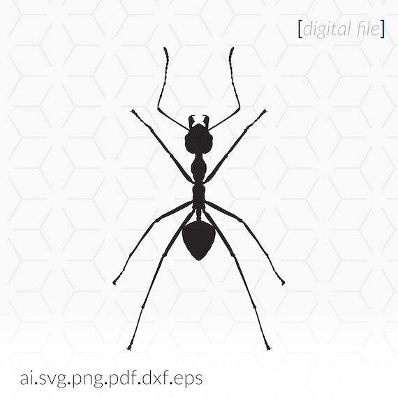 Ant SVG for Cutting and Printing Ant SVG Stencil Ant Clip | Etsy