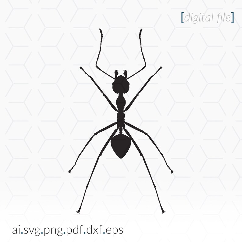 Ant SVG for Cutting and Printing Ant SVG Stencil Ant Clip | Etsy
