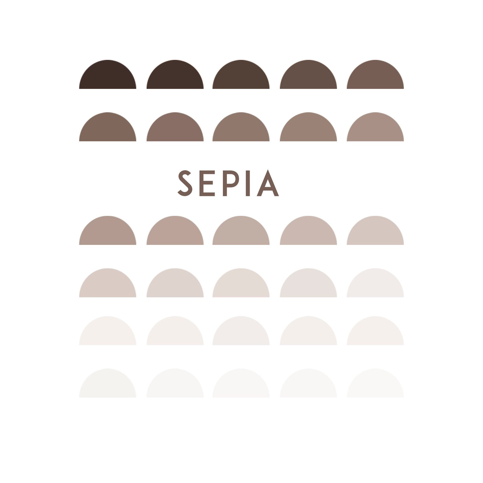 Sepia Procreate Swatch Color Palette 30 Sepia Color Tones - Etsy