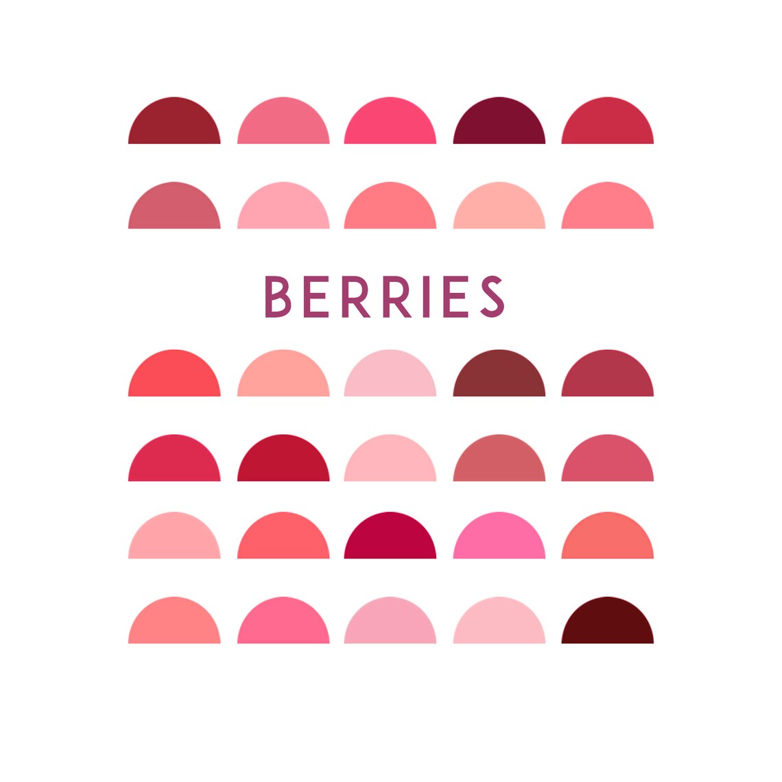 Berries Procreate Swatch Color Palette 30 Red Berry Color Tones - Etsy