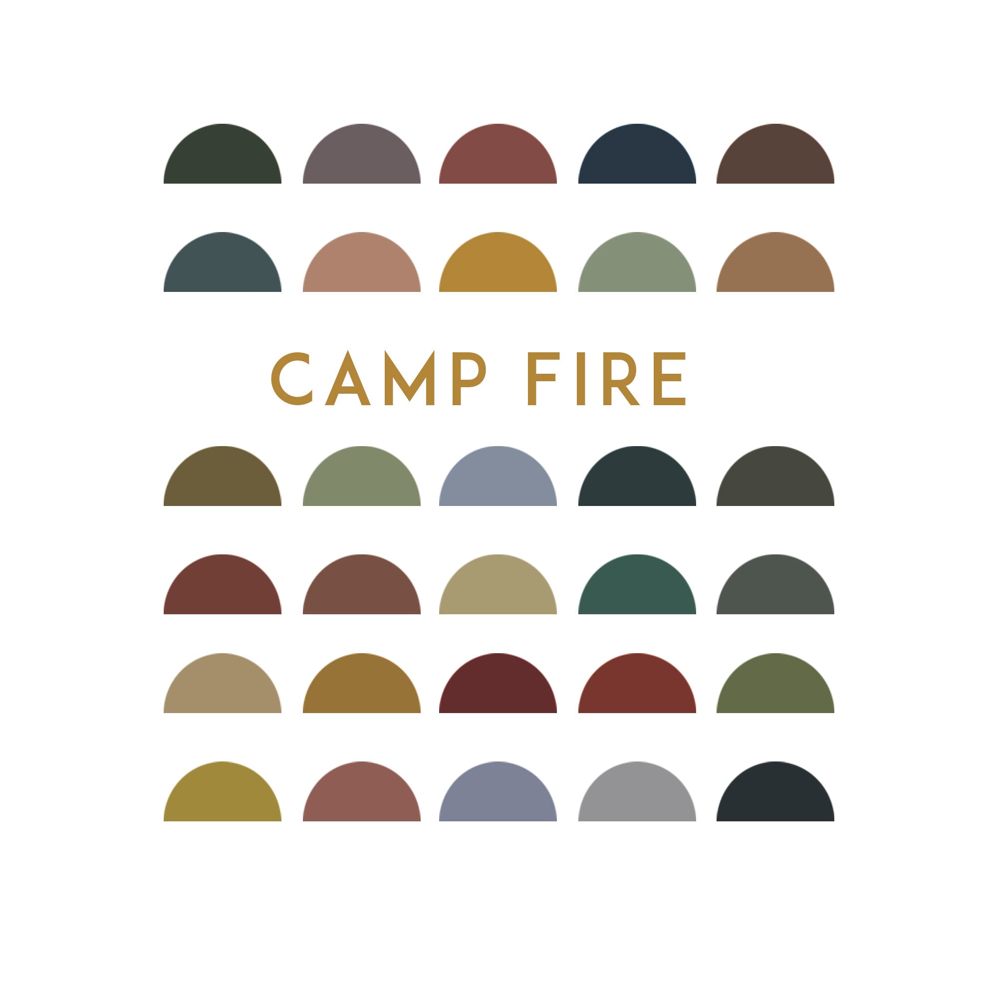 Camp Fire Procreate and Illustrator Swatch Color Palette 30 Camping ...