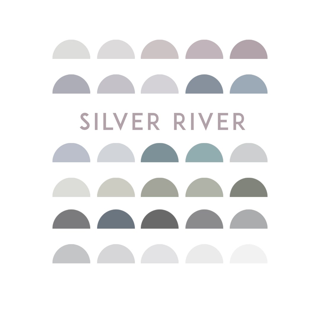 Silver River Procreate Swatch Color Palette 30 Silver Color Tones - Etsy