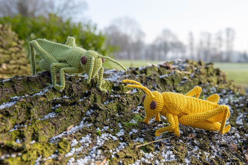 Crochet Grasshopper Pattern (pdf Pattern Only - NOT FINISHED ITEM) - Etsy