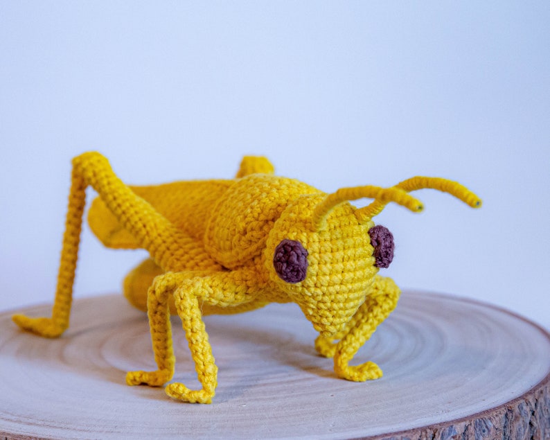 Crochet Grasshopper Pattern pdf Pattern Only NOT FINISHED ITEM - Etsy