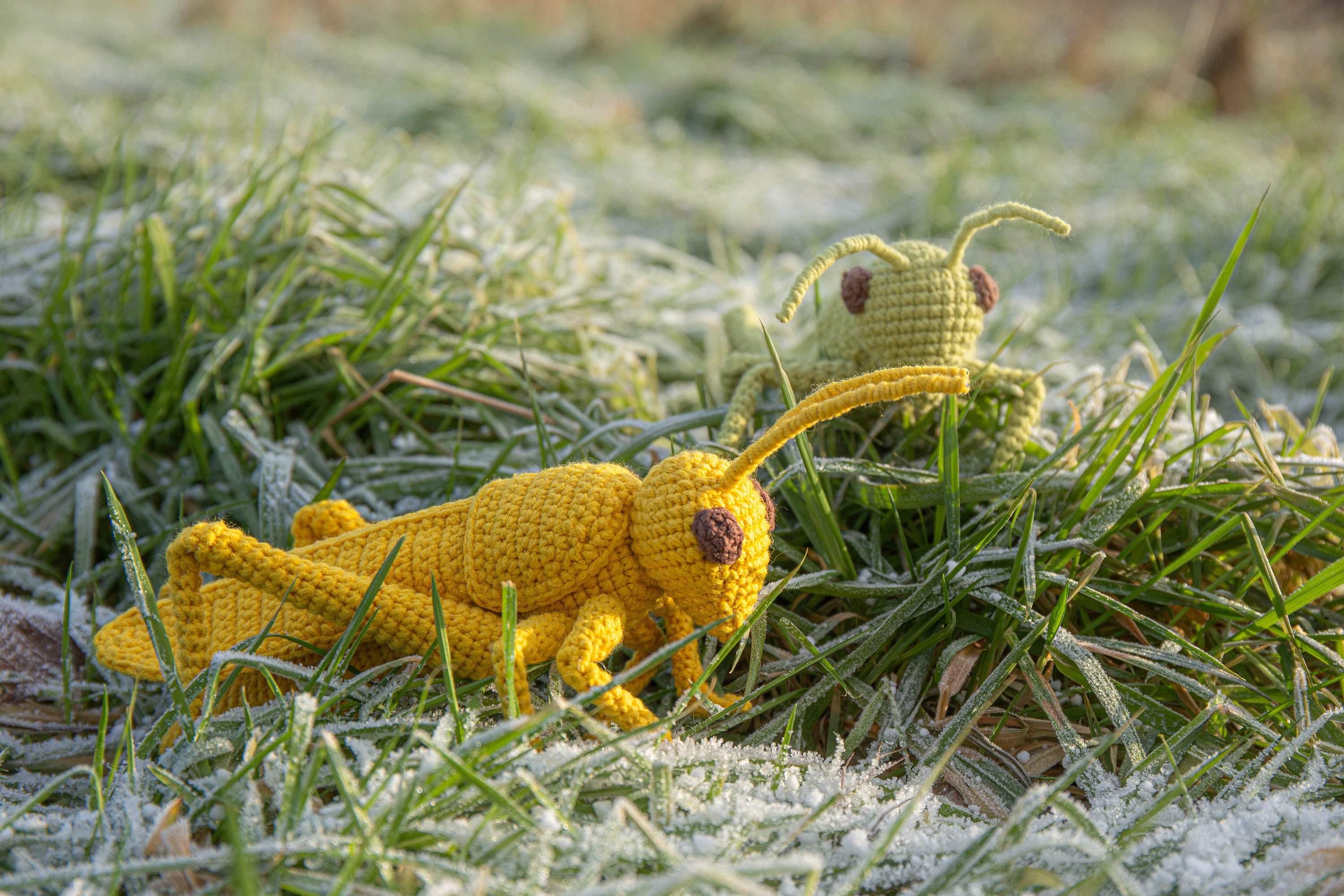 Crochet Grasshopper Pattern (pdf Pattern Only - NOT FINISHED ITEM) - Etsy