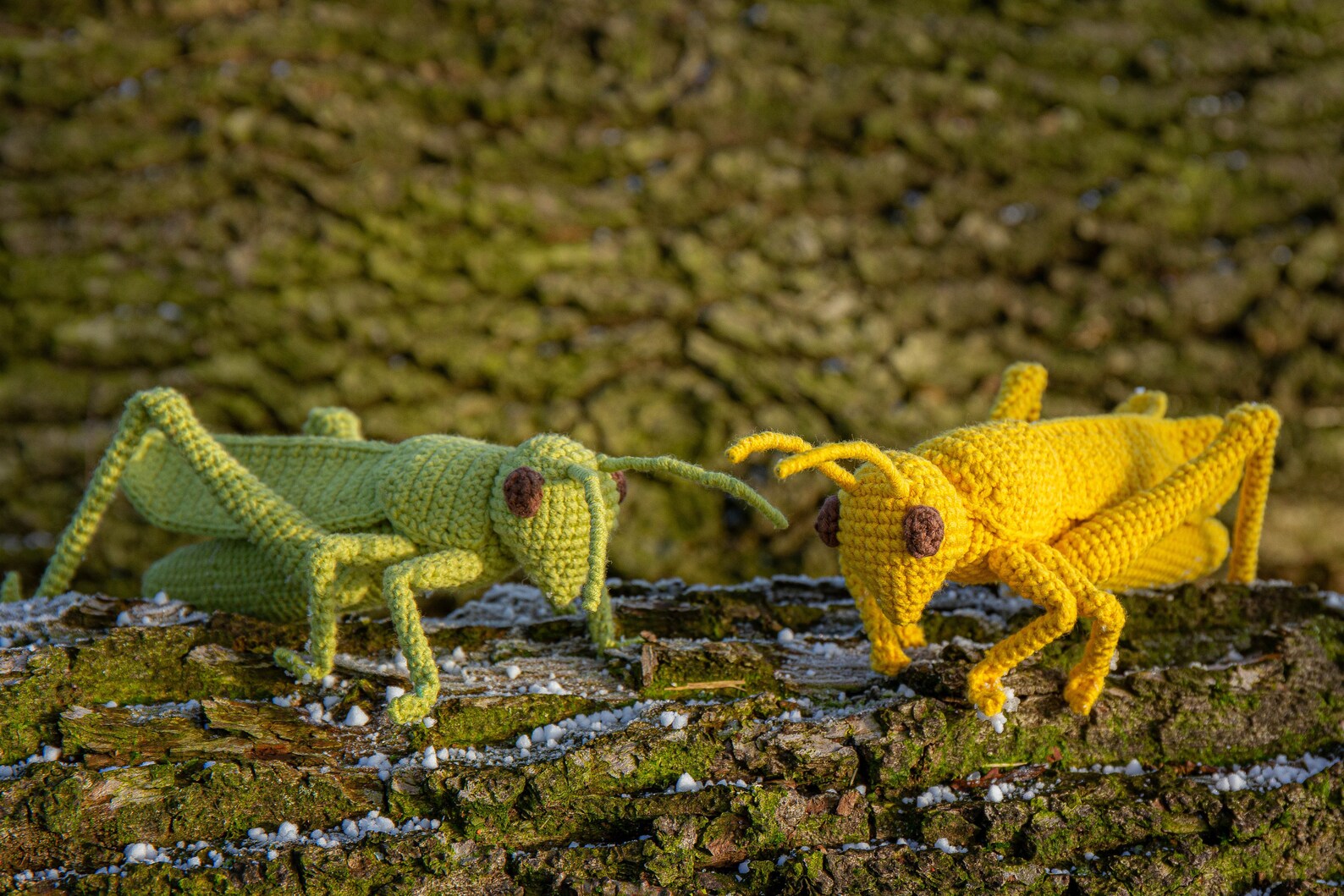 Crochet Grasshopper Pattern (pdf Pattern Only - NOT FINISHED ITEM) - Etsy