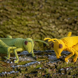 Crochet Grasshopper Pattern (pdf Pattern Only - NOT FINISHED ITEM) - Etsy