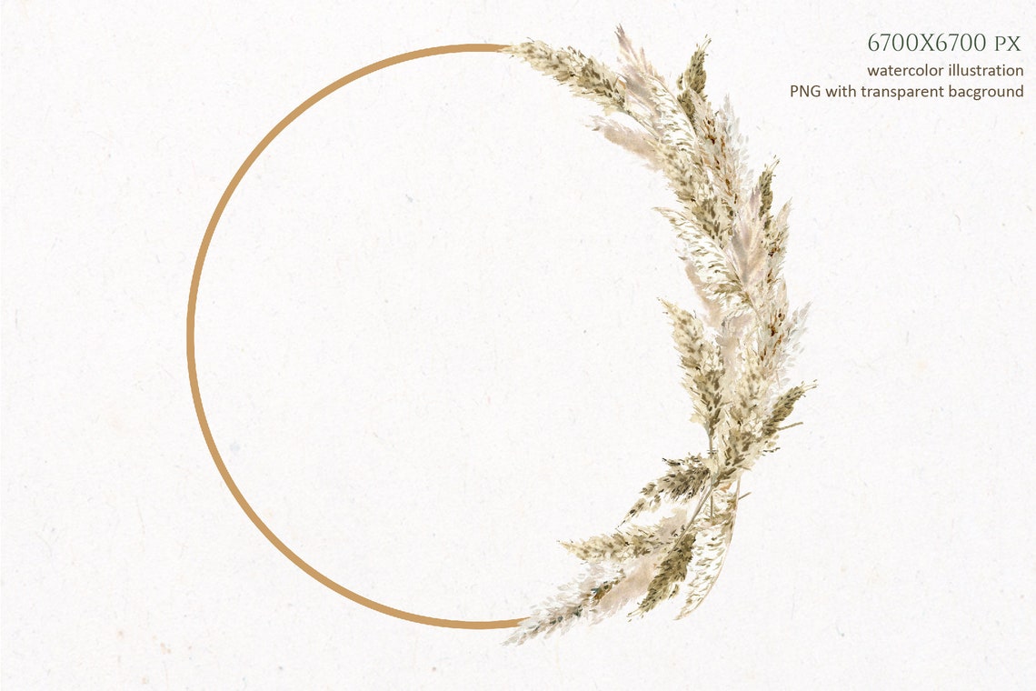 Pampas grass wreath Boho floral frame png watercolor clipart | Etsy
