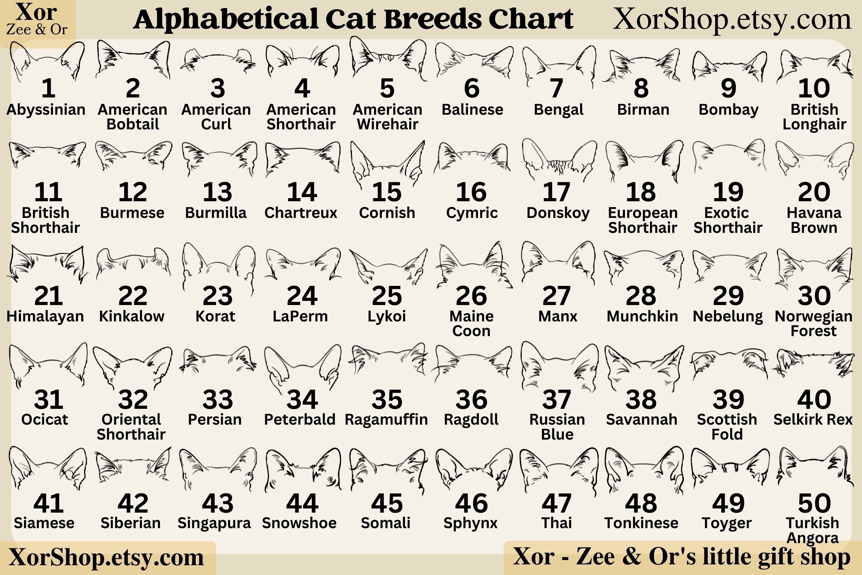 Custom Dog Ears Shirt Dog and Cat Ears Custom Dog Mama - Etsy