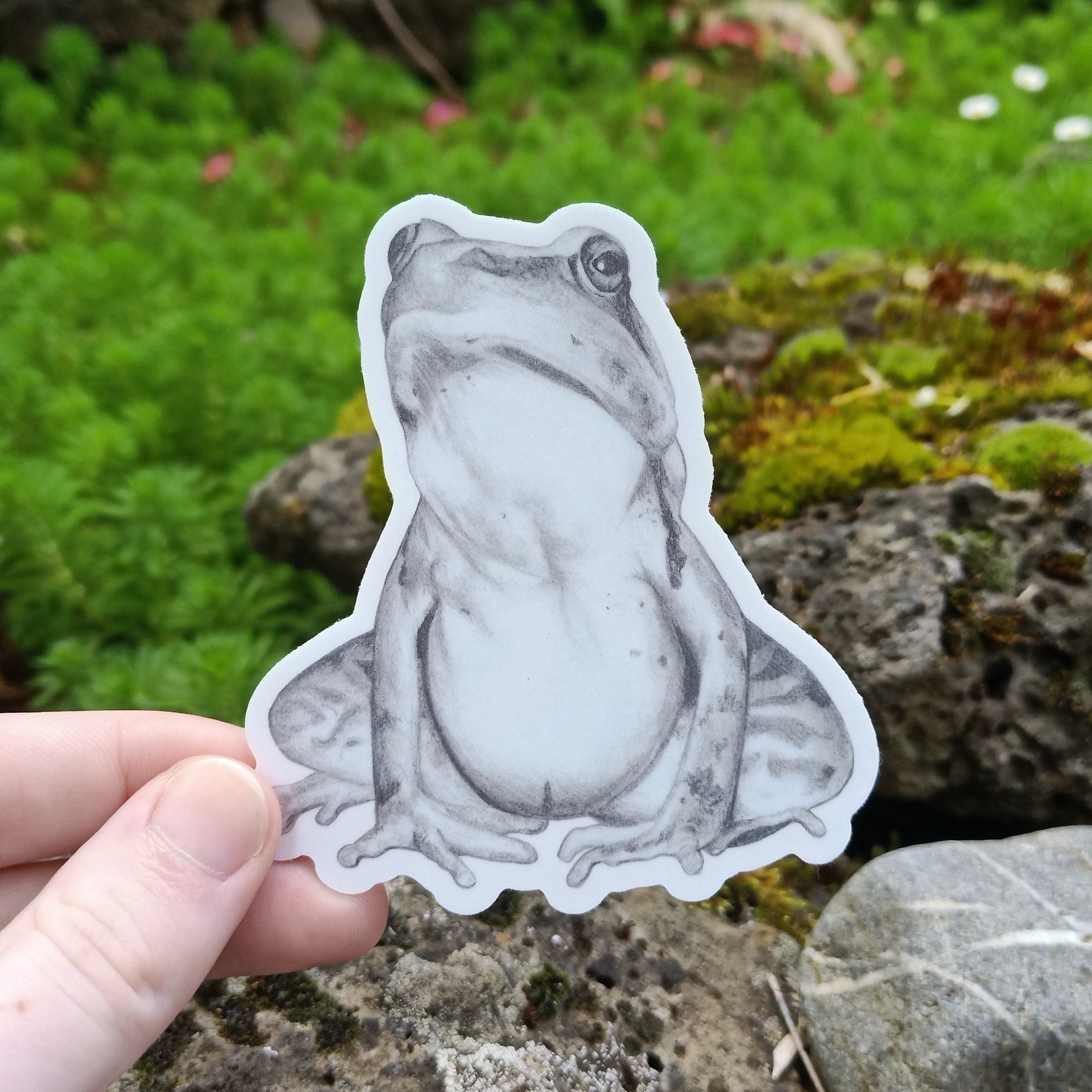 Proud Frog Matte Vinyl Weatherproof Black & White Sticker - Etsy Canada