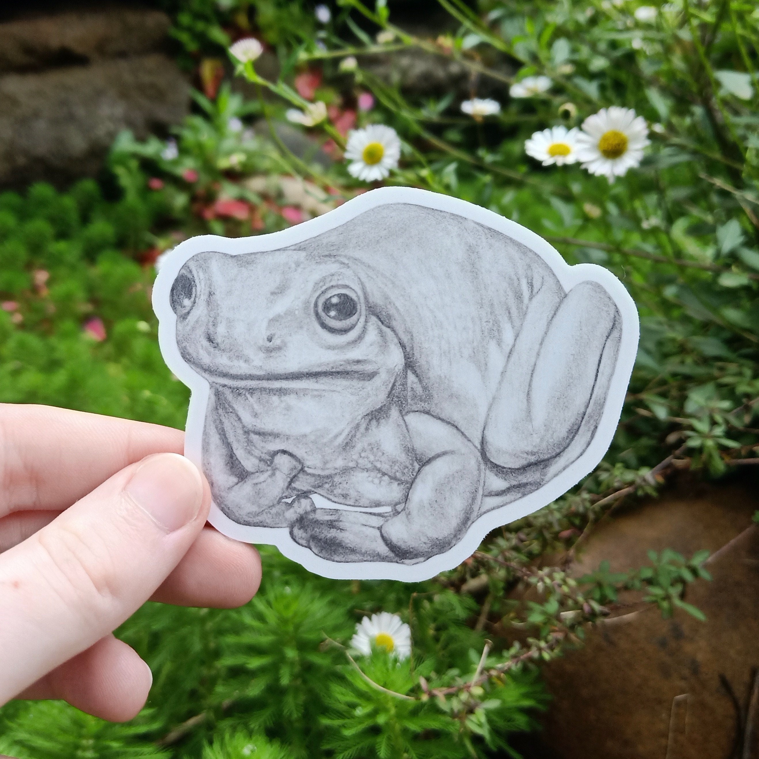 Polite frog matte vinyl weatherproof black & white sticker | Etsy