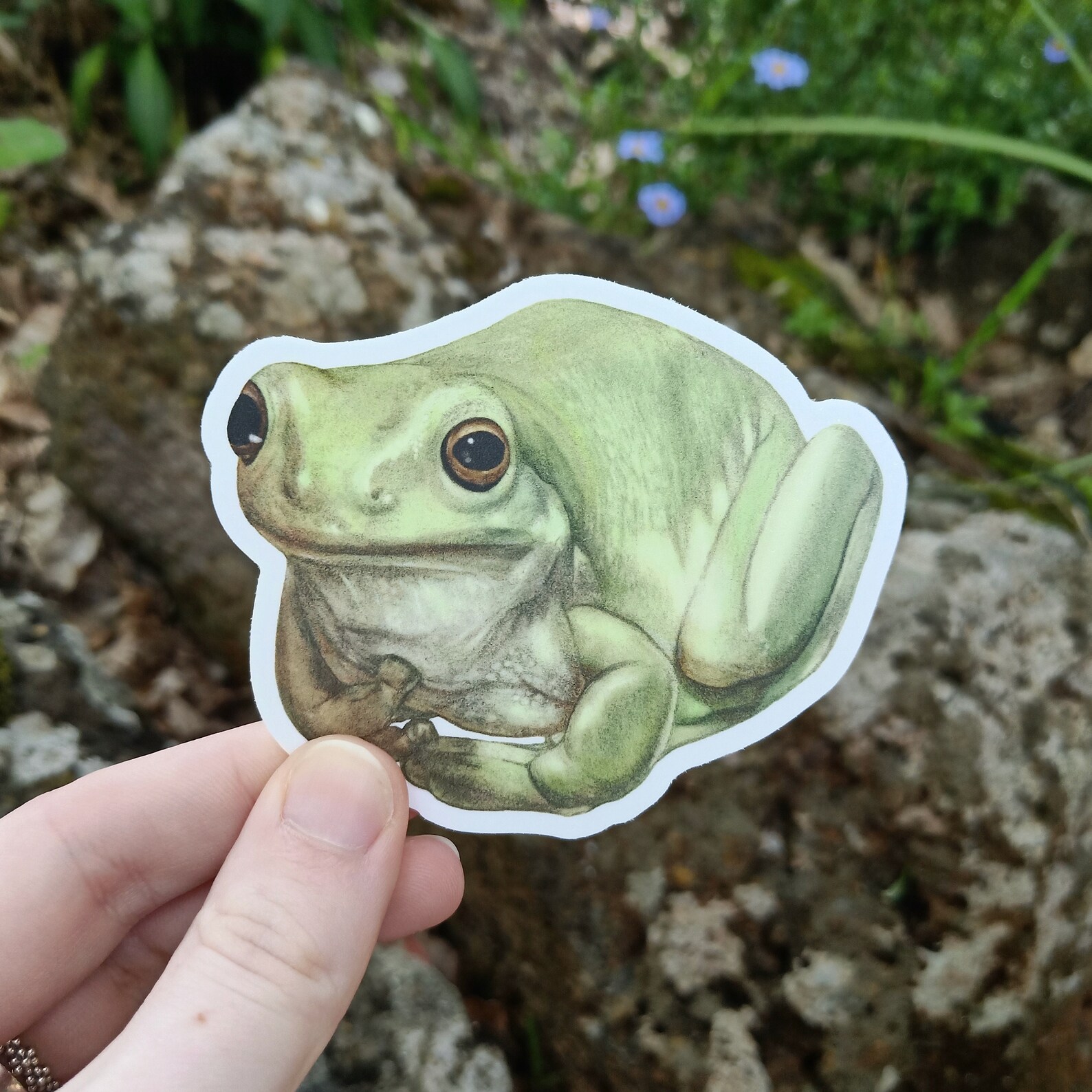 Bundle of Frogs 3 Pack Matte Vinyl Weatherproof Colour - Etsy