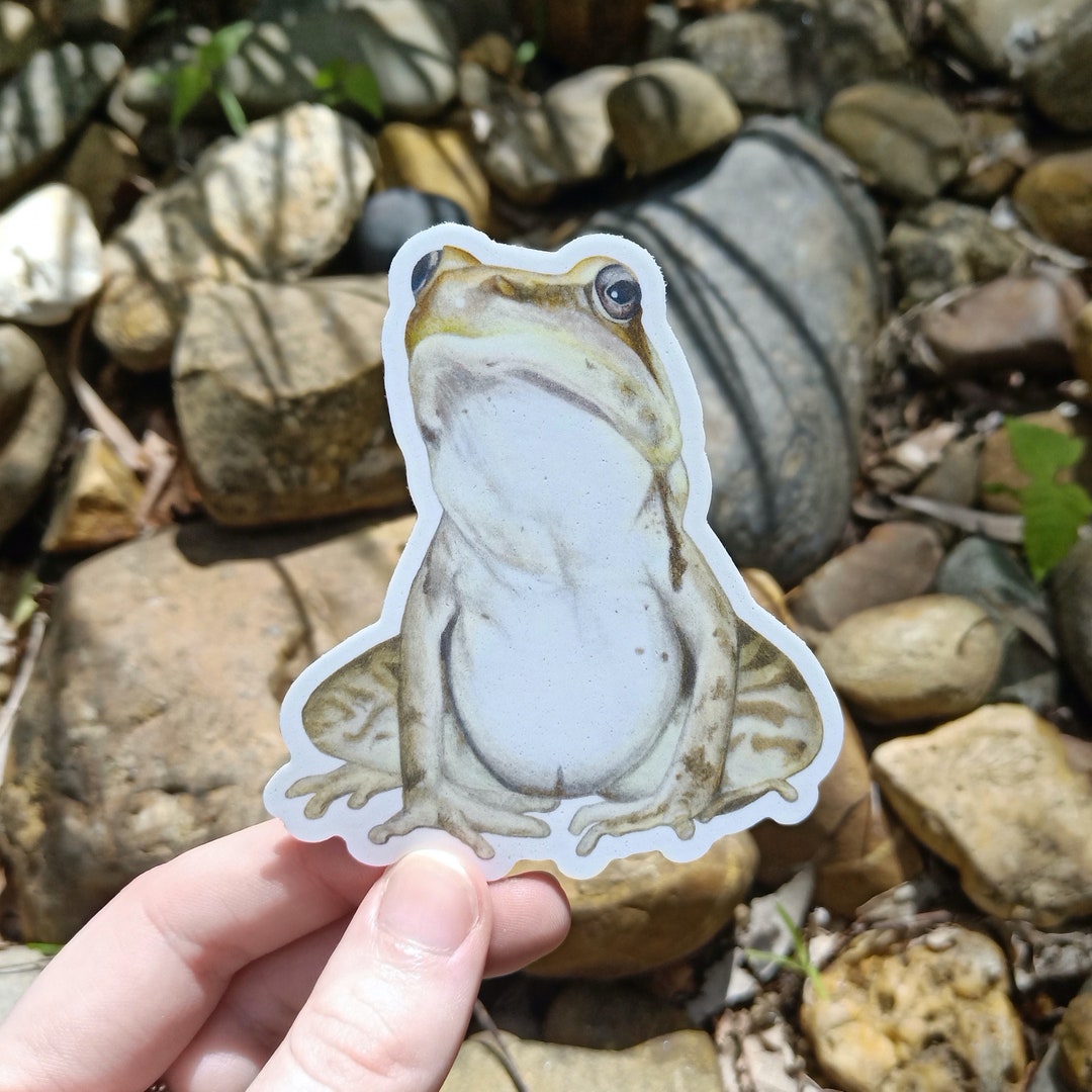 Proud Frog Matte Vinyl Weatherproof Colour Sticker - Etsy