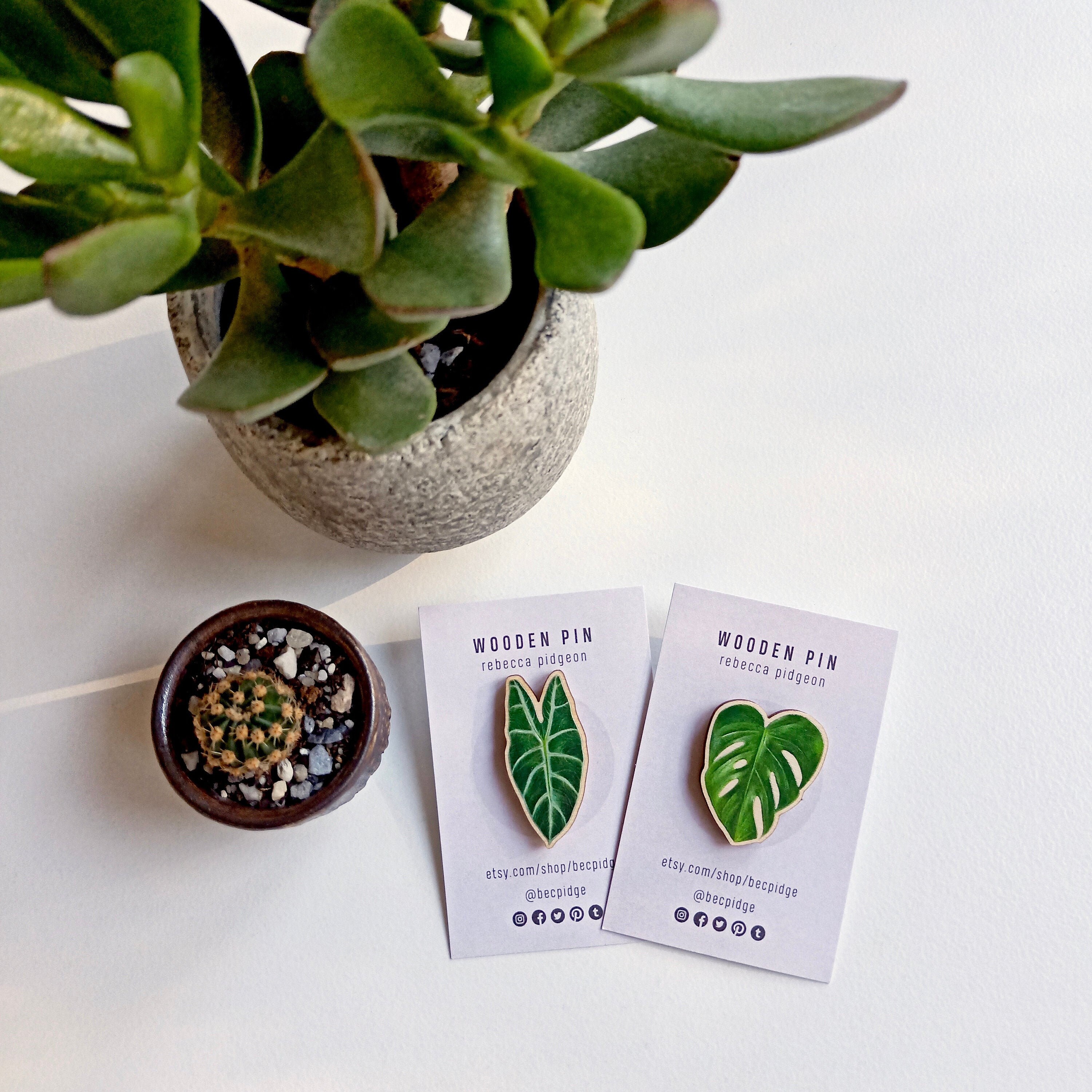 Leafy Birch Plywood Wooden Pins - Etsy Australia