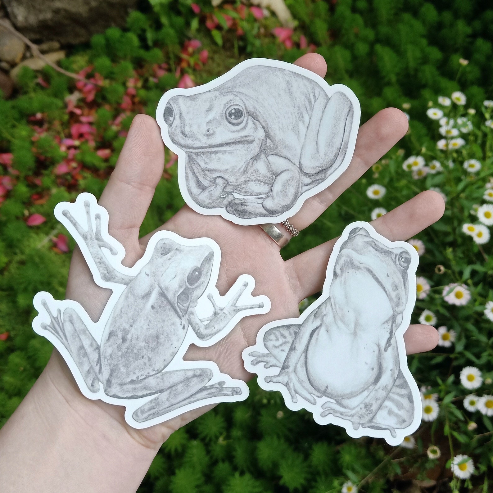 Polite Frog Matte Vinyl Weatherproof Black & White Sticker - Etsy