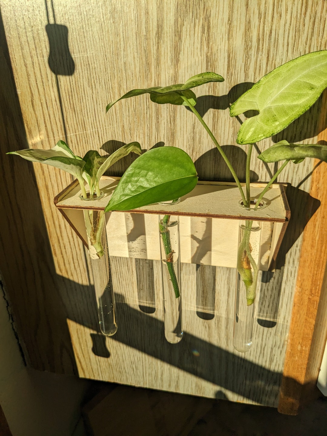 Plant Propagation Tube Vial Holder Hanger Laser Cutter FILE Digital ...
