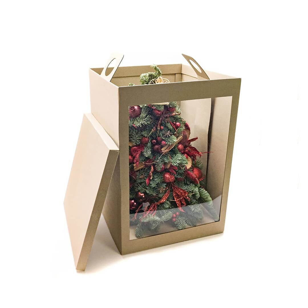 Christmas Tree Box | Cardboard Carrier for Plants With Window 20 ...