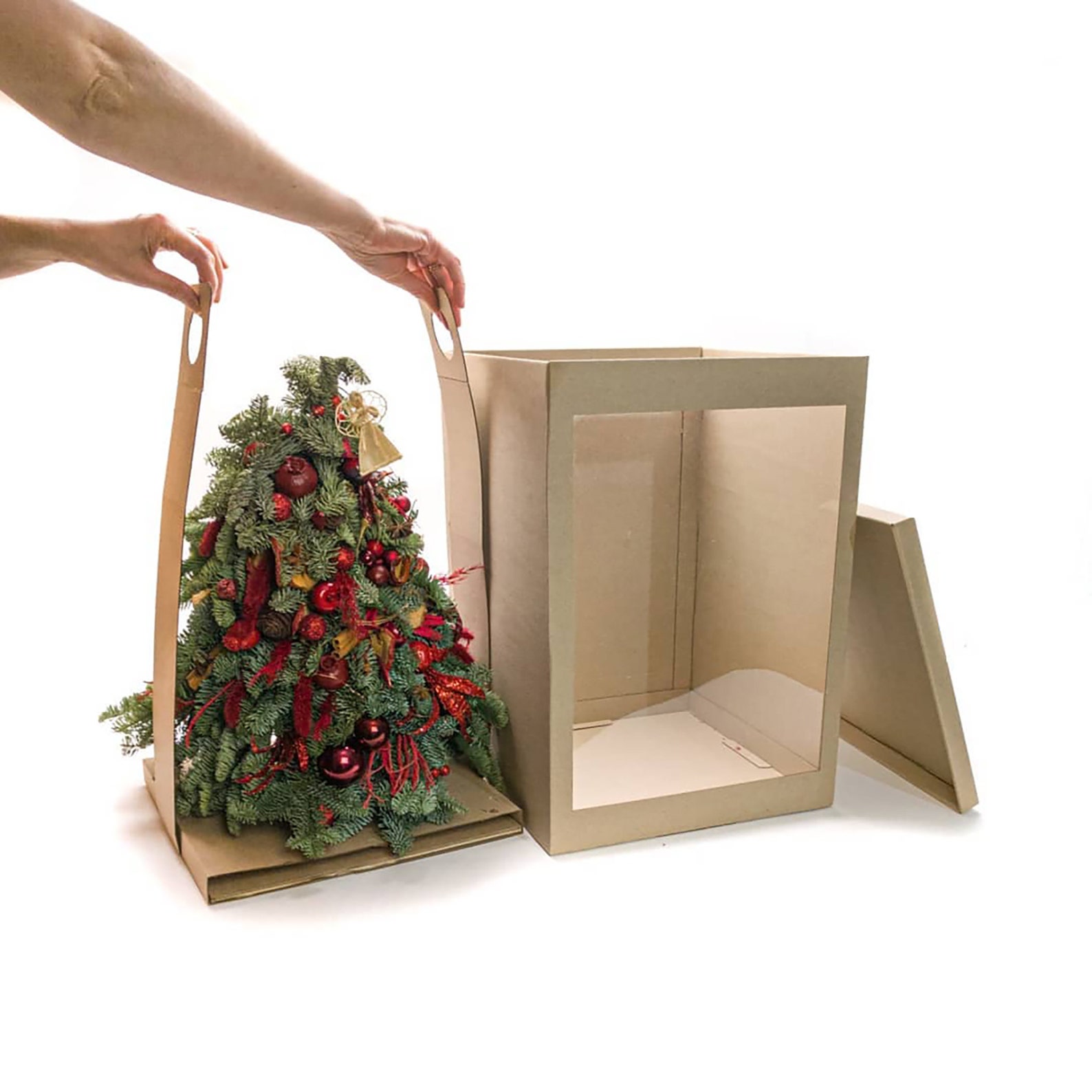 Christmas Tree Box Cardboard Carrier for Plants With Window 20' Height ...