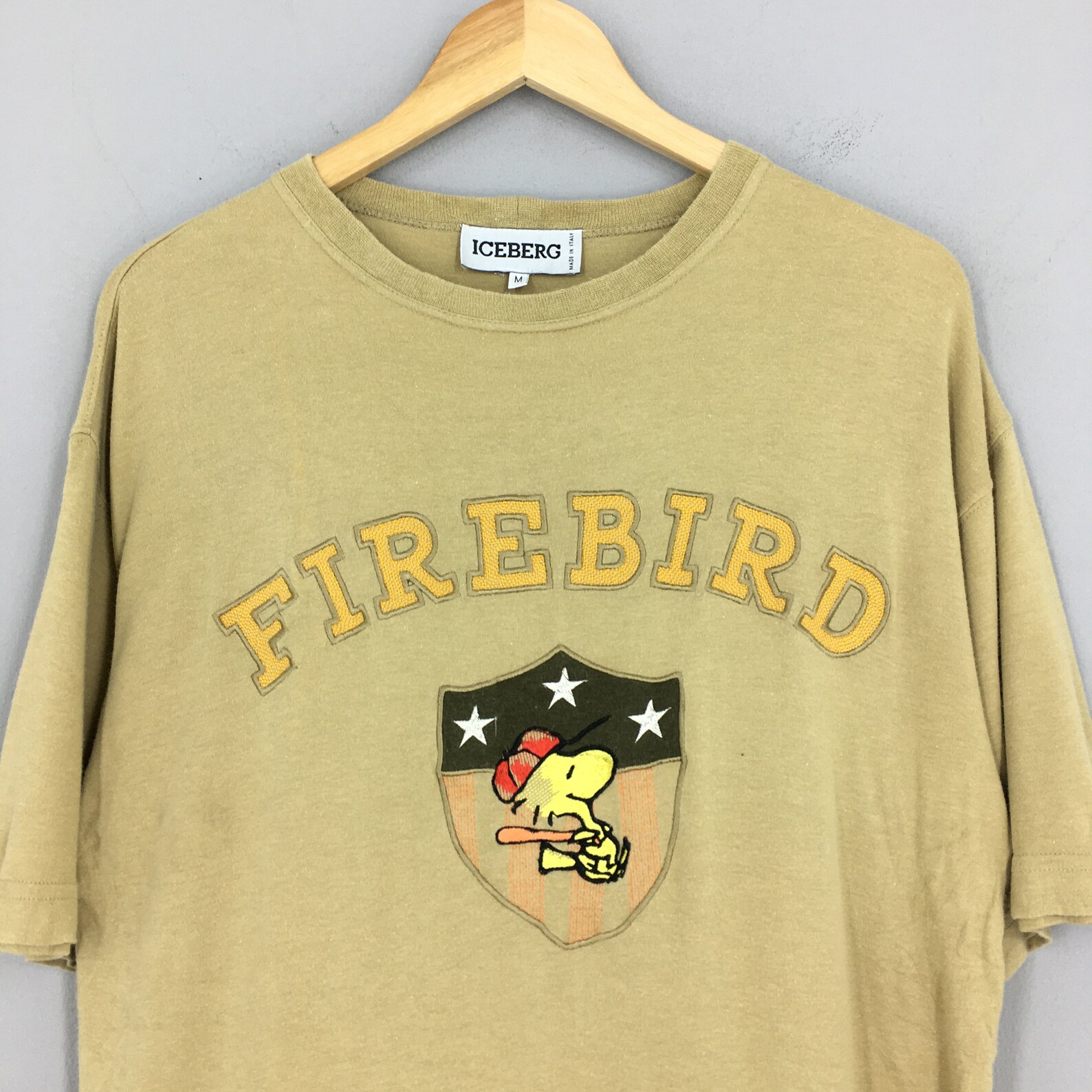 Vintage Iceberg Italy Snoopy Peanuts Firebird Cartoon Tshirt - Etsy