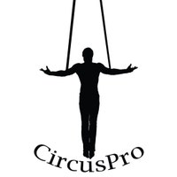 Aerial Trapeze Static, Circus Trapeze Static, Home Acrobatic Props ...