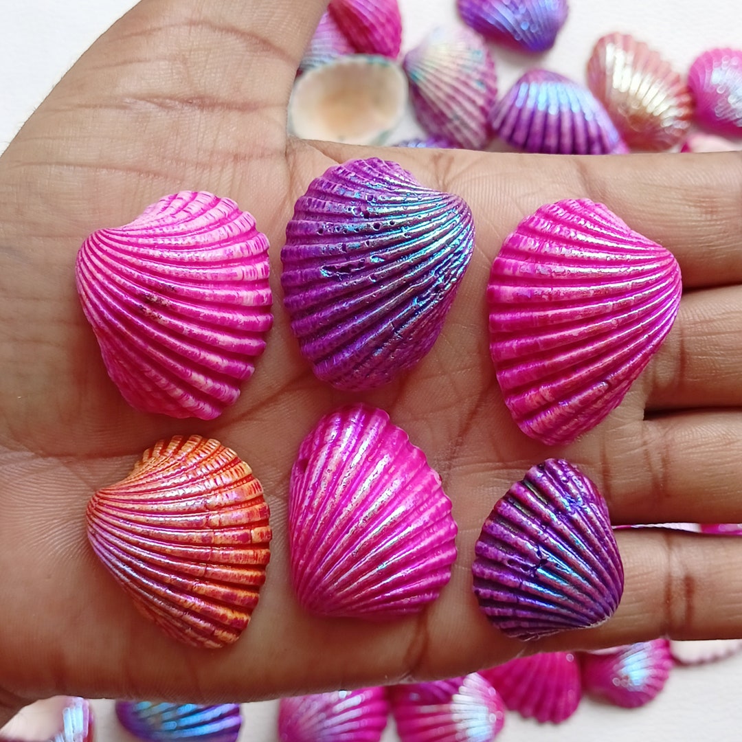 Titanium Aura Coated Shell, Titanium Coated Shell, Aura Shell, Titanium ...