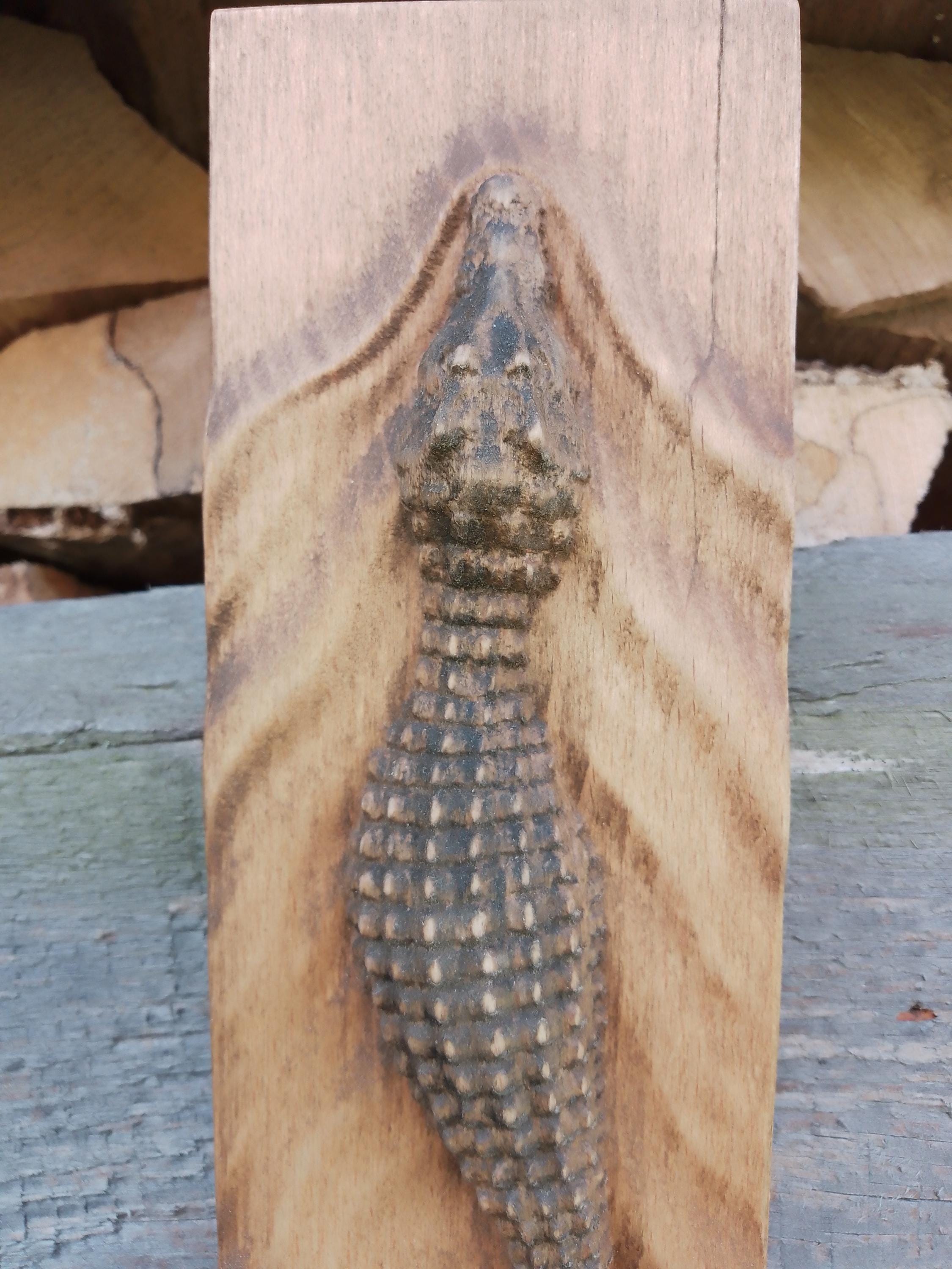 Crocodile Carved From Wood, Wall Painting, Suitable Gift. - Etsy